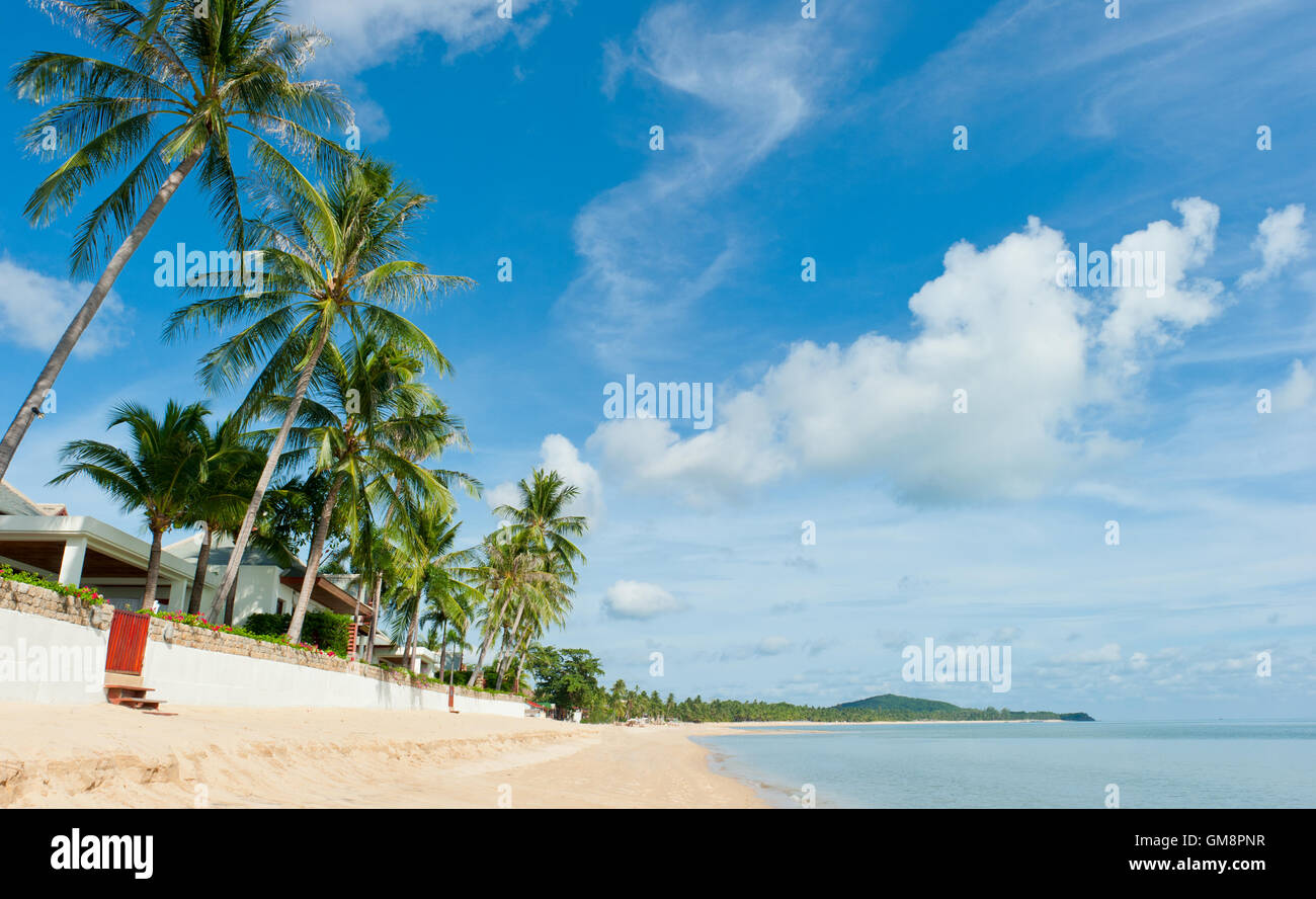 Beautiful house with palm trees Stock Photo - Alamy