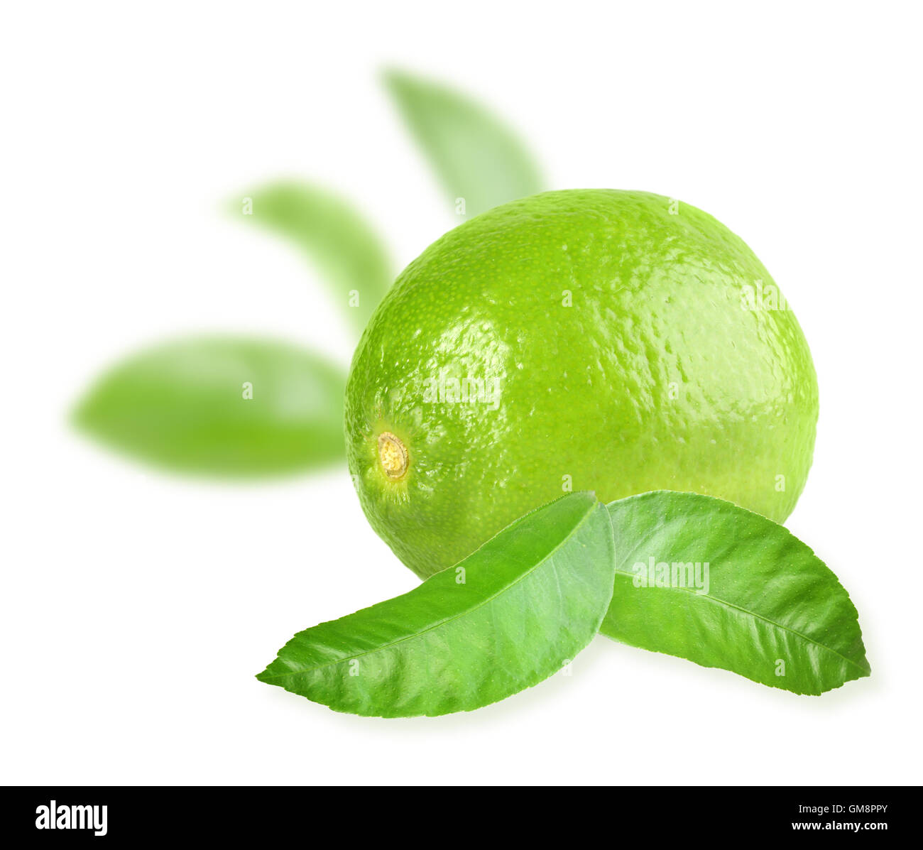 Full fresh lime Stock Photo - Alamy