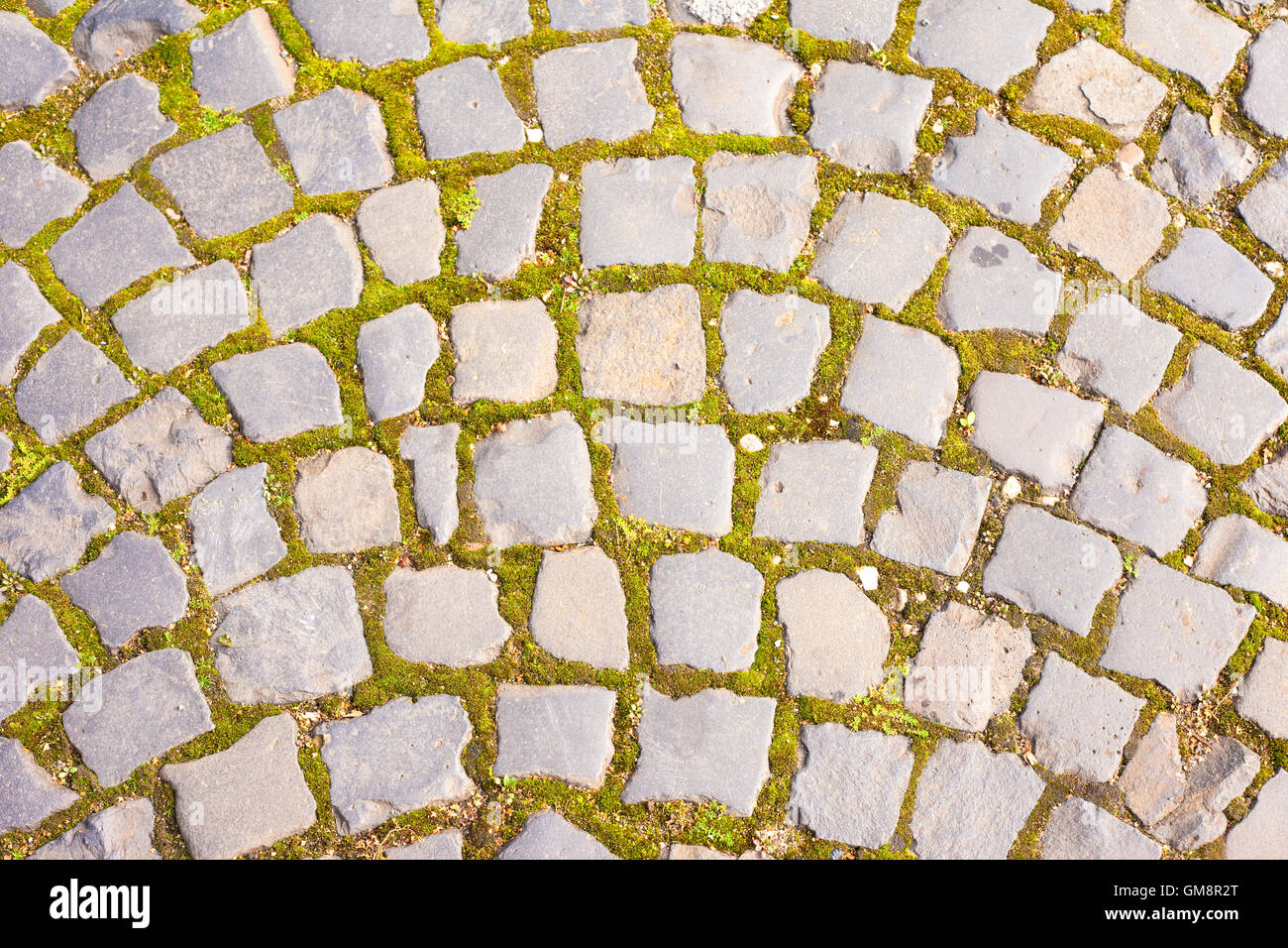 Grey Cobblestone walkway pattern Stock Photo - Alamy