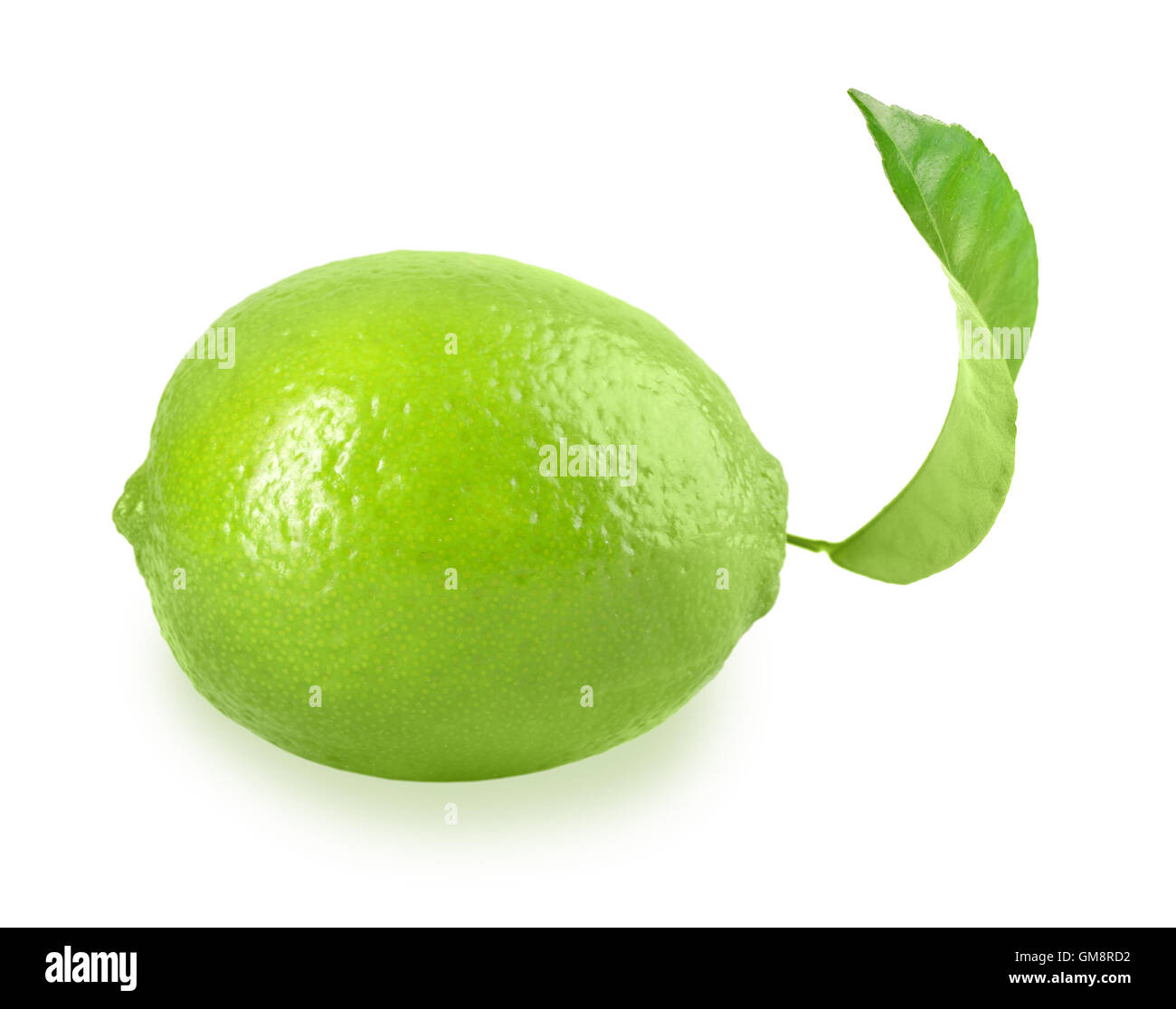 Fresh lime with one green leaf Stock Photo - Alamy