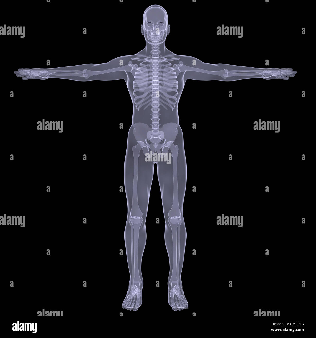 X-ray of man Stock Photo - Alamy
