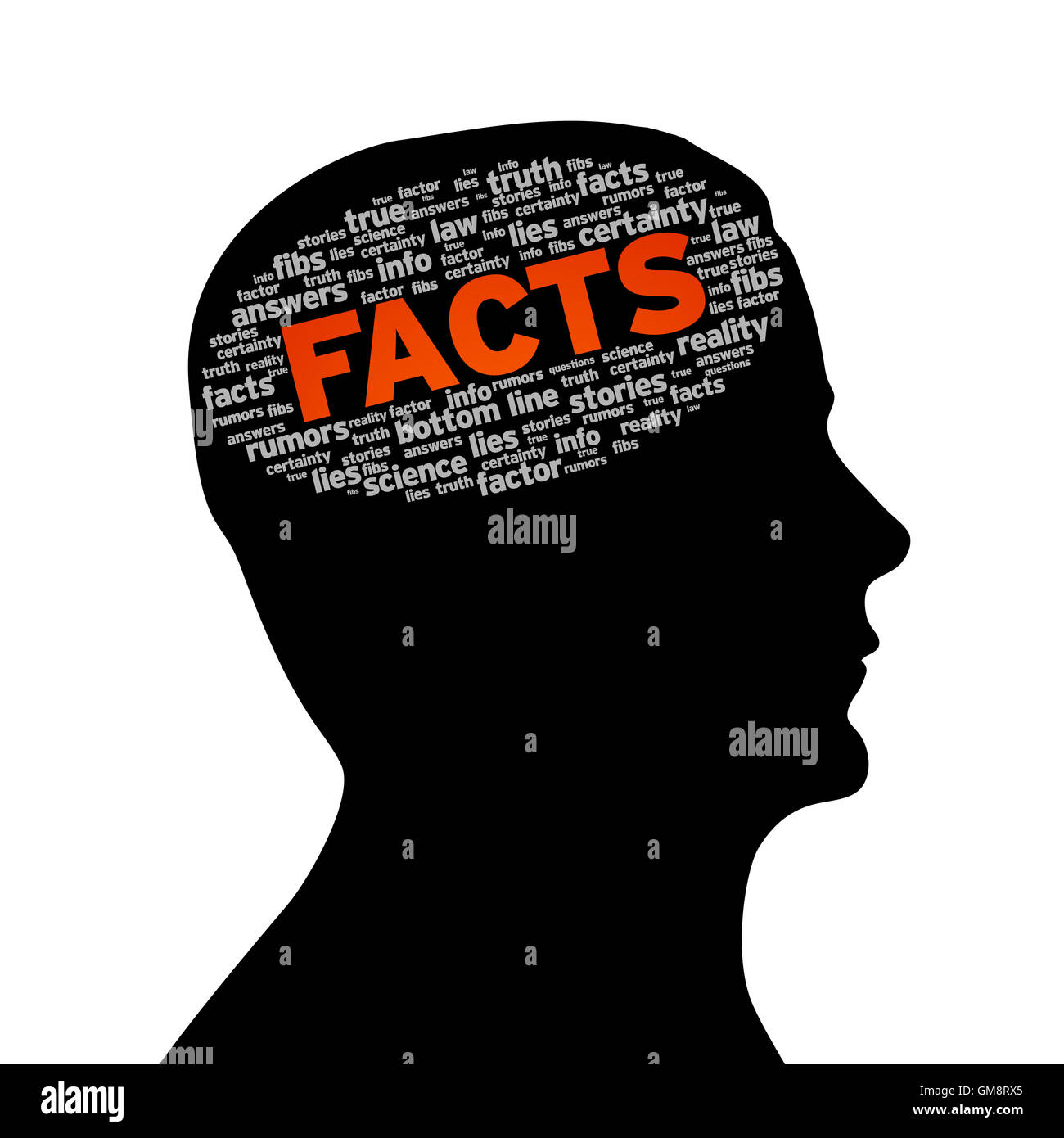 Silhouette head - Facts Stock Photo - Alamy