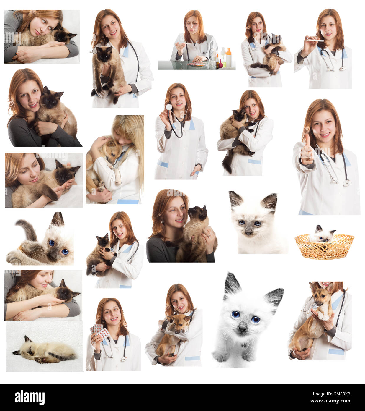 Veterinary subjects hi-res stock photography and images - Alamy