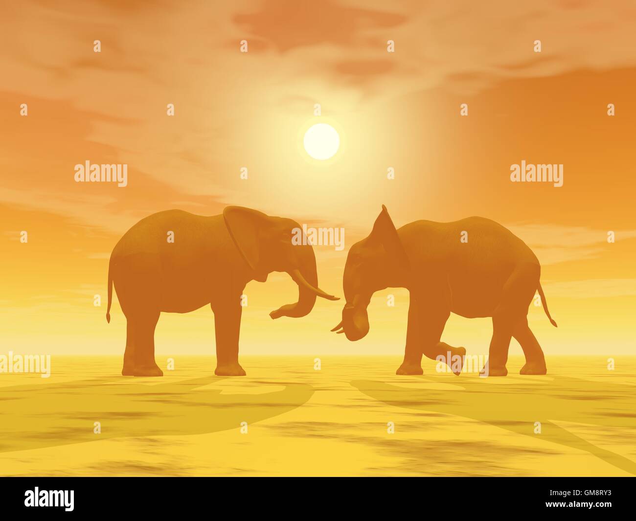 Elephant couple - 3D render Stock Photo - Alamy