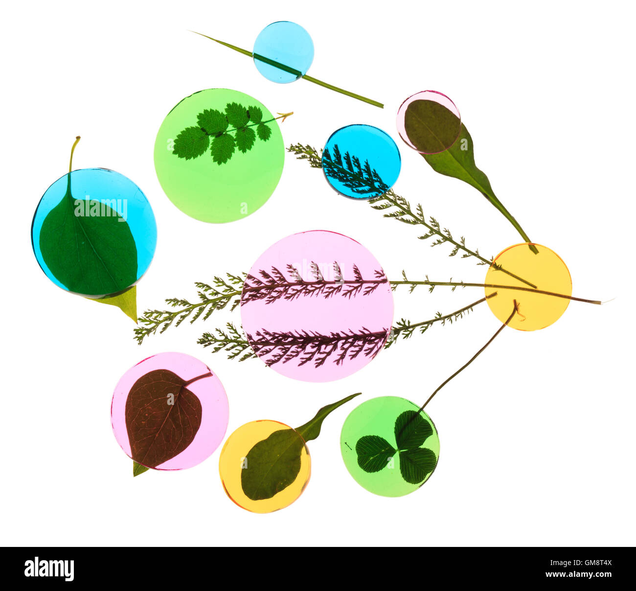 Botanical nature background Cut Out Stock Images & Pictures - Alamy
