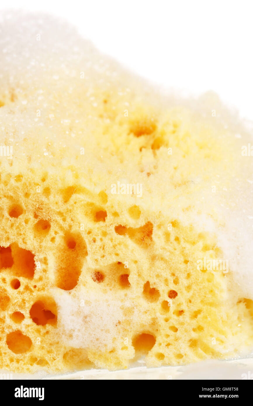 Natural sponge with foam Stock Photo - Alamy
