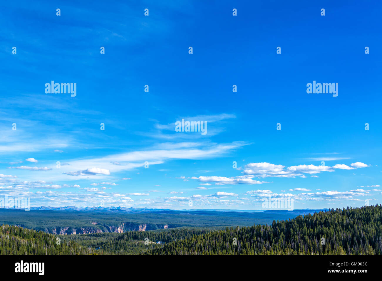 Dense forest covered landscape in Yellowstone National Park Stock Photo ...