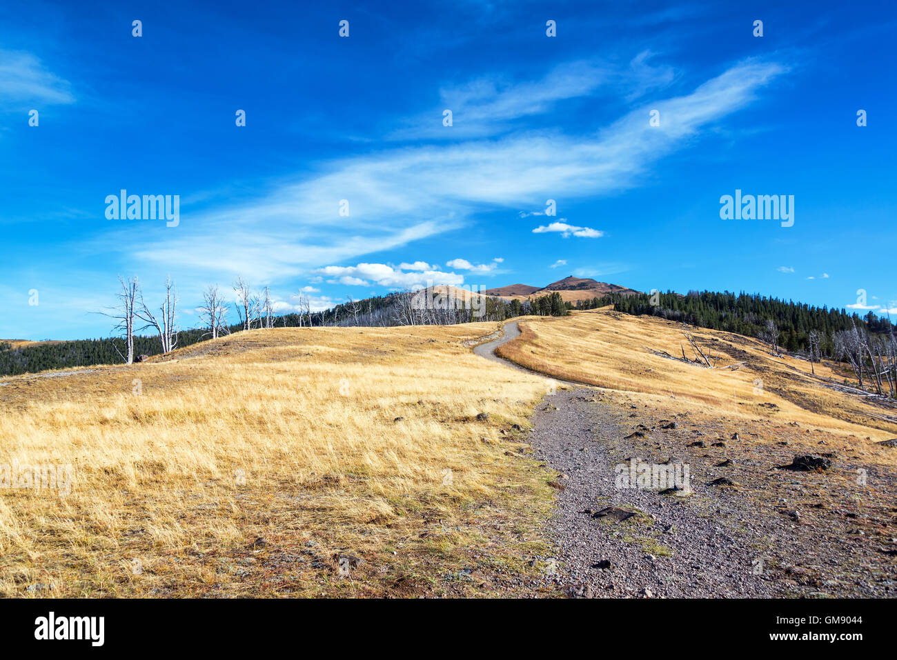 View of Mount Washburn in Yellowstone National Park Stock Photo - Alamy