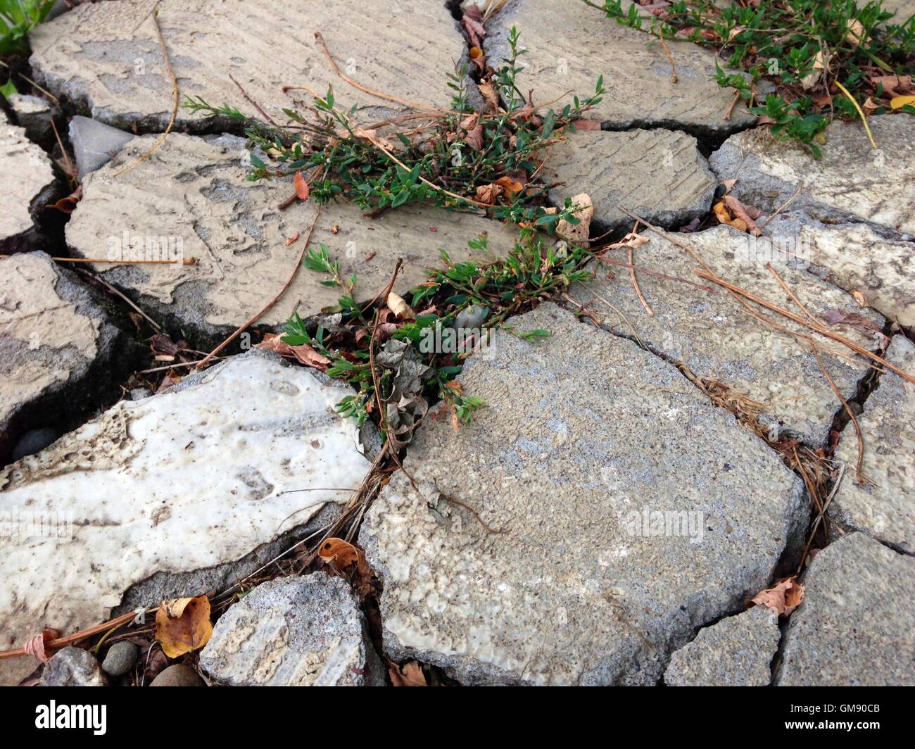 Road damage up-close Stock Photo - Alamy