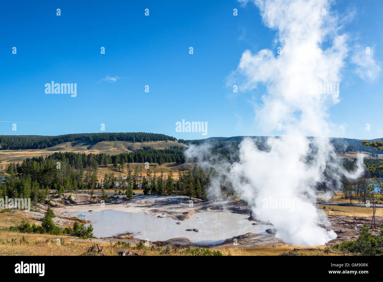 Steam rising high into the sky in the Mud Volcano Area in Yellowstone ...
