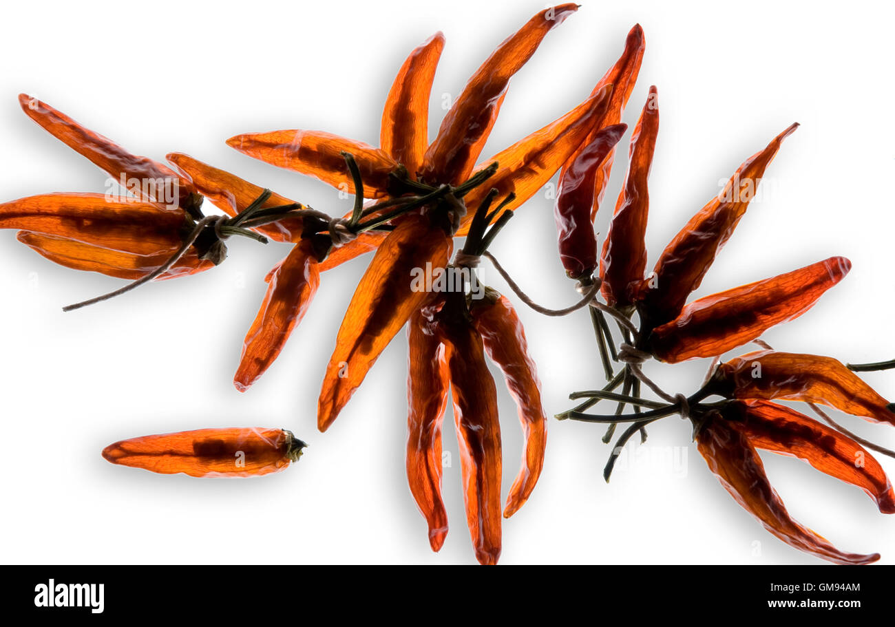 String of chillies hi-res stock photography and images - Alamy