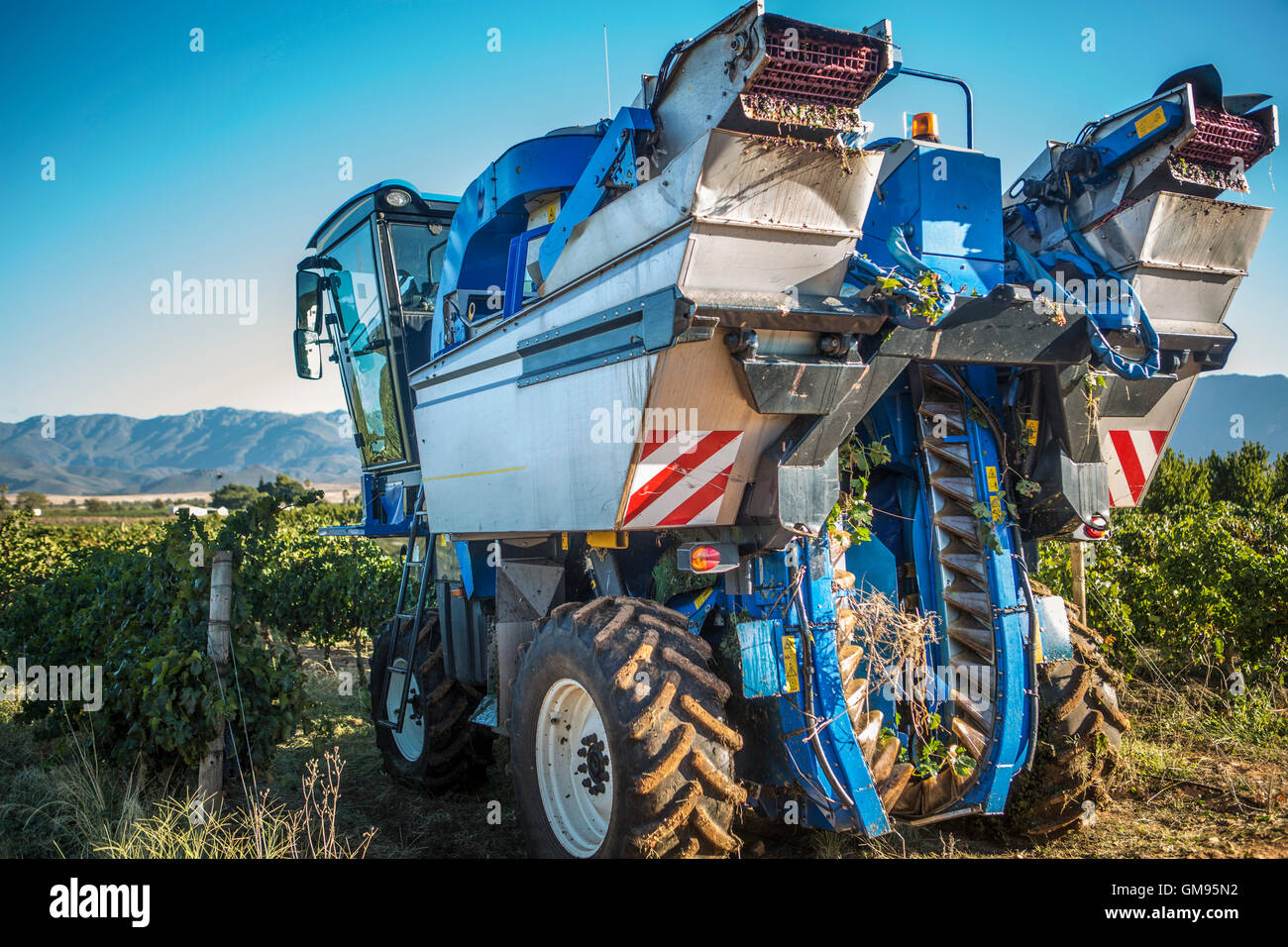Fruit harvesting machine hi-res stock photography and images - Alamy