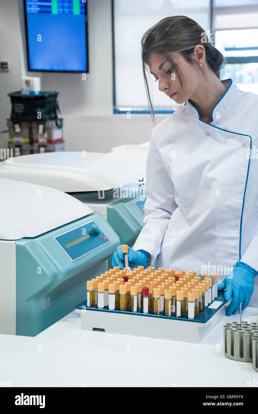 Laboratory technician in analytical laboratory with test tube tray ...