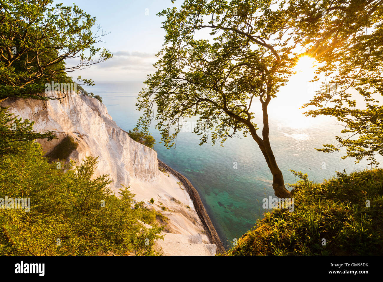 Denmark, Mon Island, Mons Klint, Chalk cliffs Stock Photo - Alamy