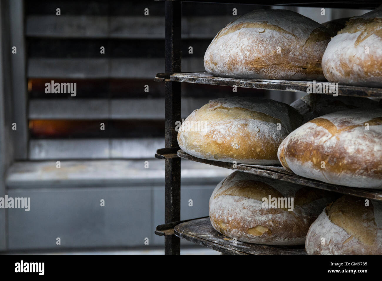Industrial baking trays hi-res stock photography and images - Alamy
