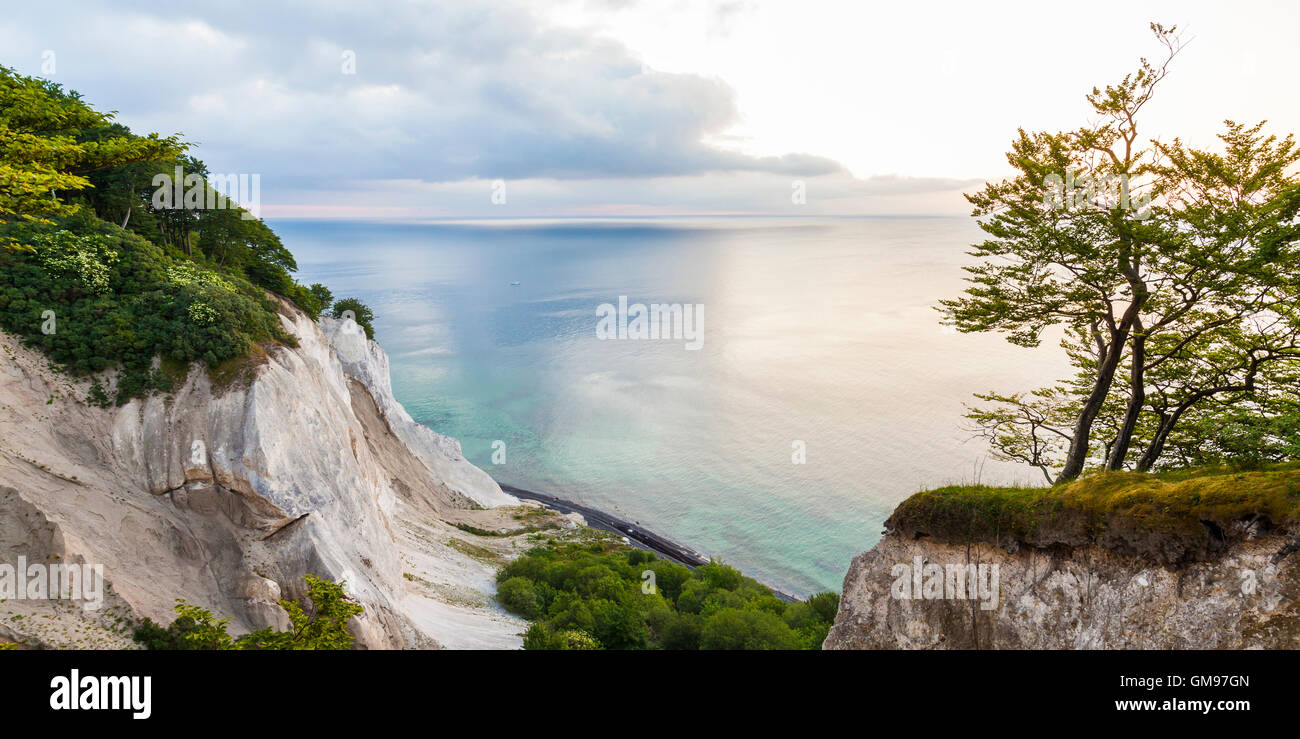 Denmark, Mon Island, Mons Klint, Chalk cliffs Stock Photo - Alamy