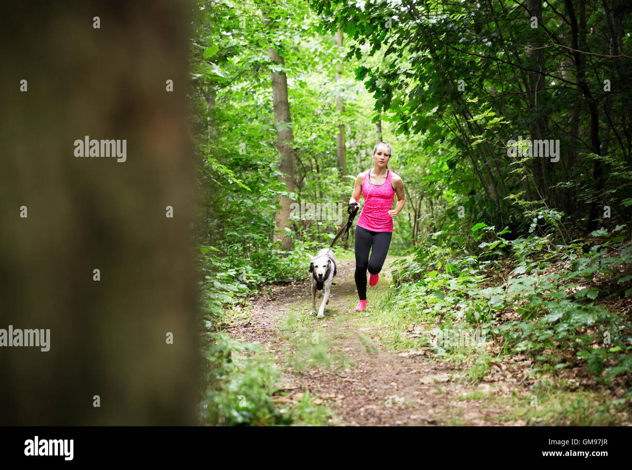 Young woman jogging with dog in forest Stock Photo - Alamy