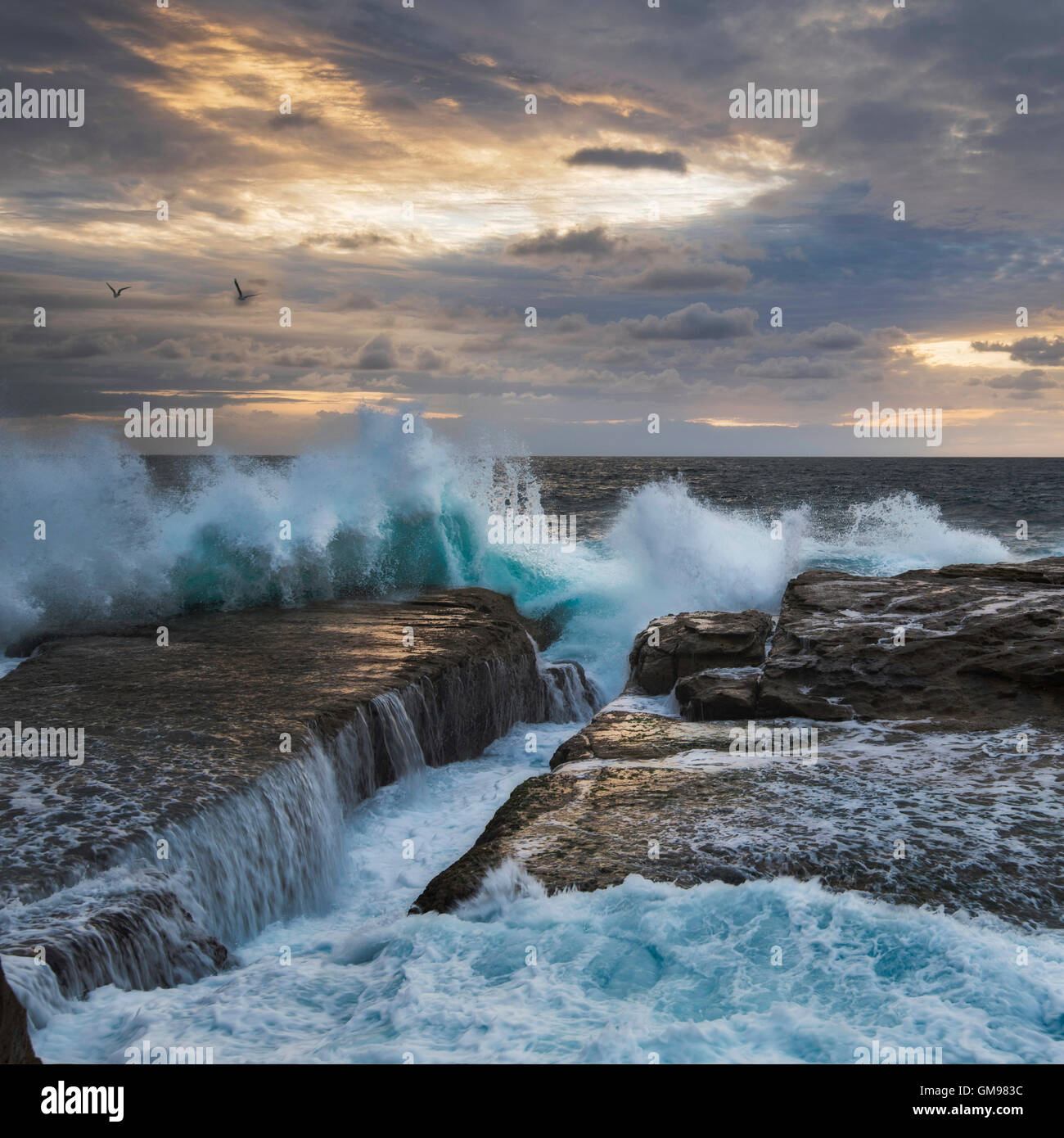 Shark point sydney australia hi-res stock photography and images - Alamy