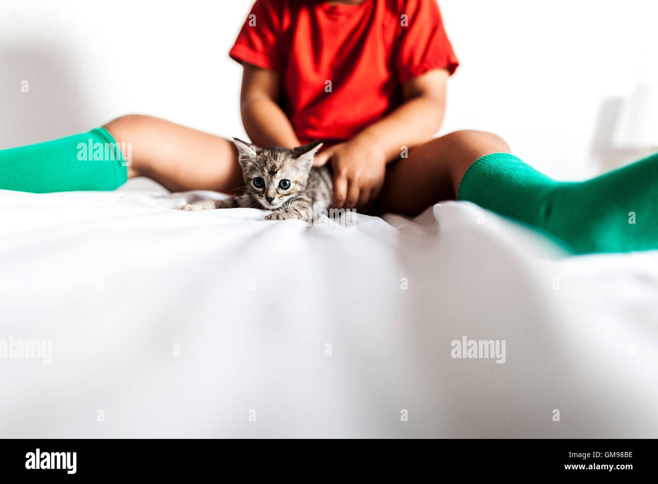 Little boy sitting on bed holding kitten Stock Photo - Alamy