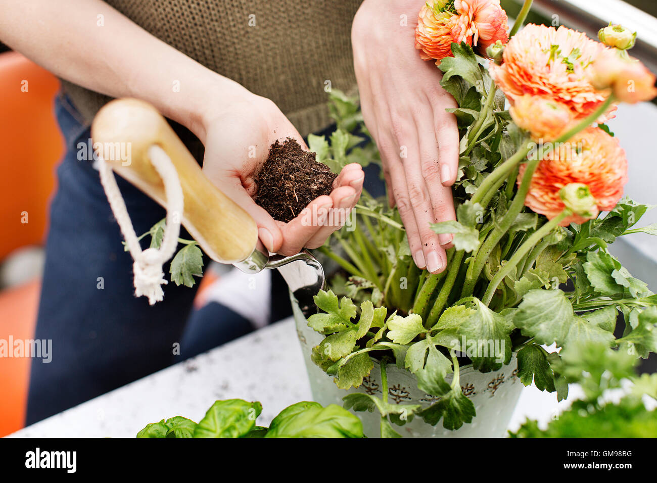 Flower planting hobby hi-res stock photography and images - Alamy