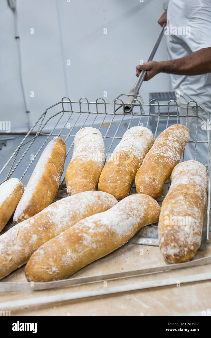 Man taking baked bread from hi-res stock photography and images - Alamy