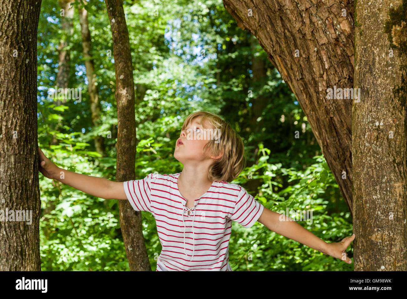 Little boy looking up to tree Stock Photo - Alamy