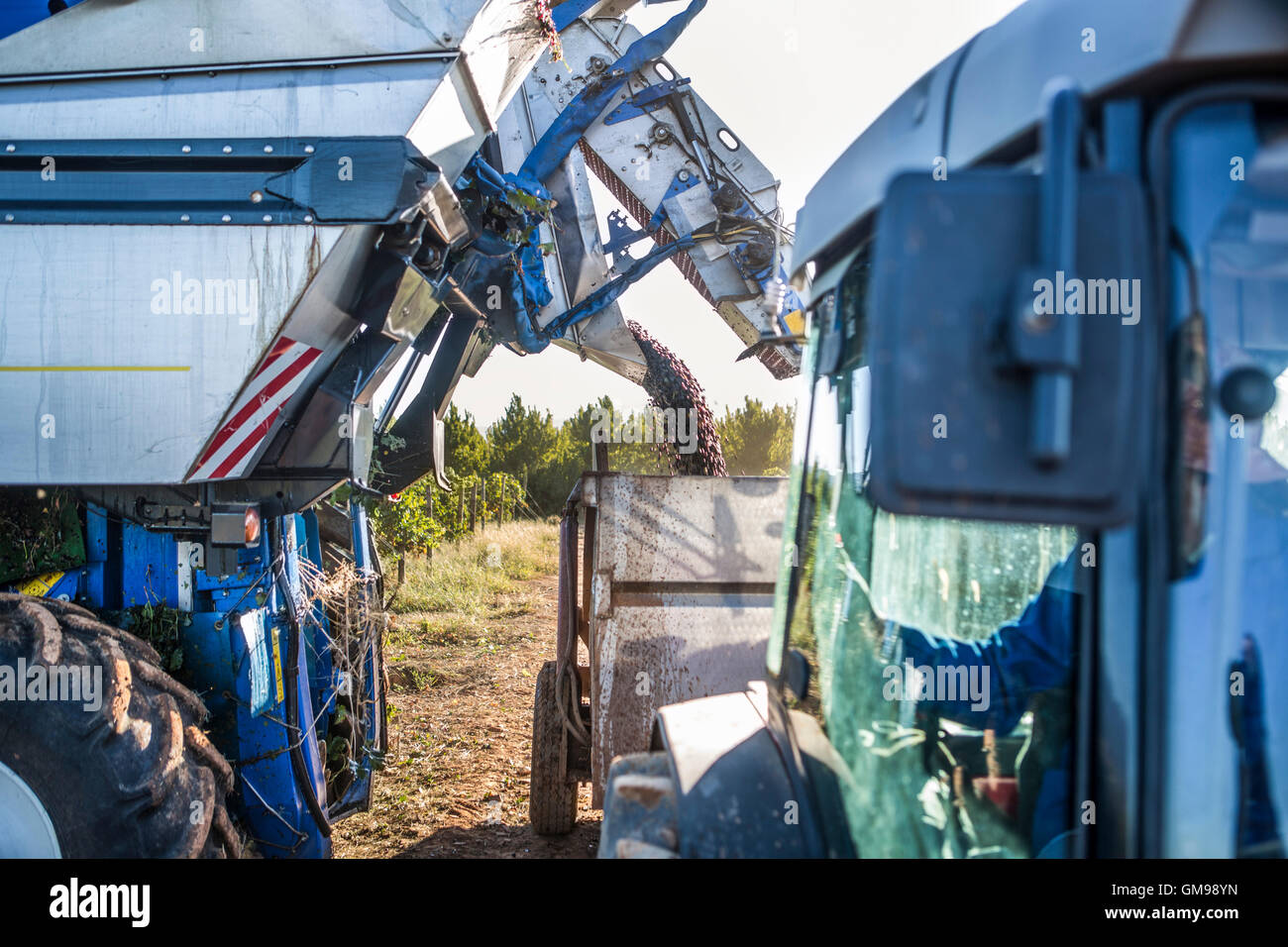 Grape harvesting machine and tractor in vineyard Stock Photo - Alamy