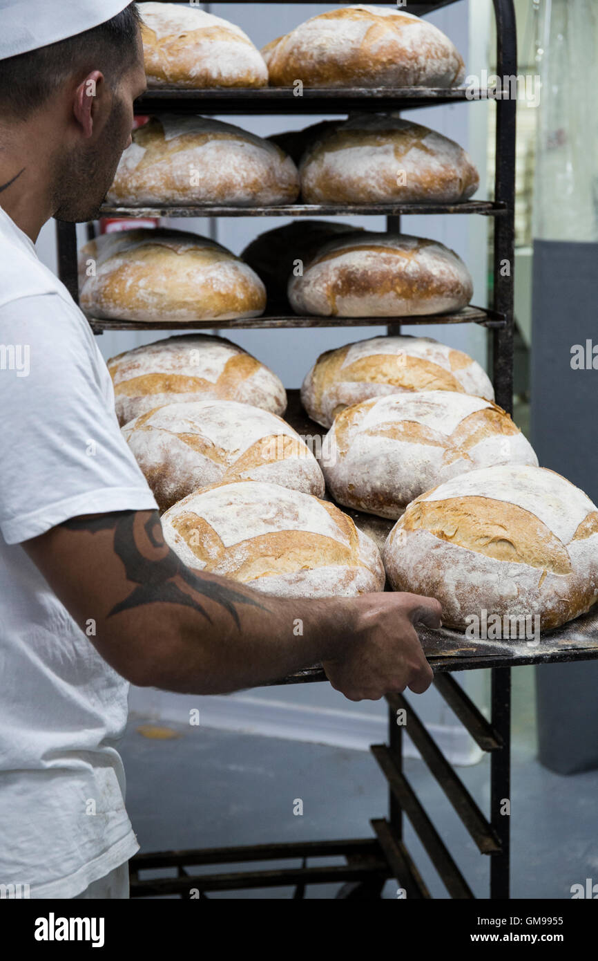 Baker placing a tray of bread in a bakery Stock Photo - Alamy