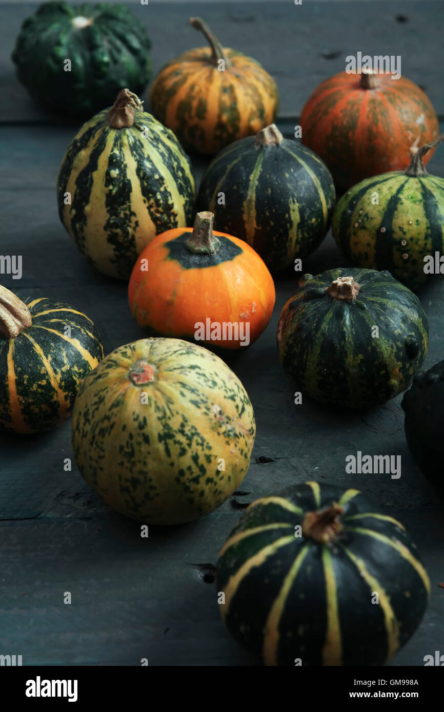 Ornamental pumpkins hi-res stock photography and images - Alamy