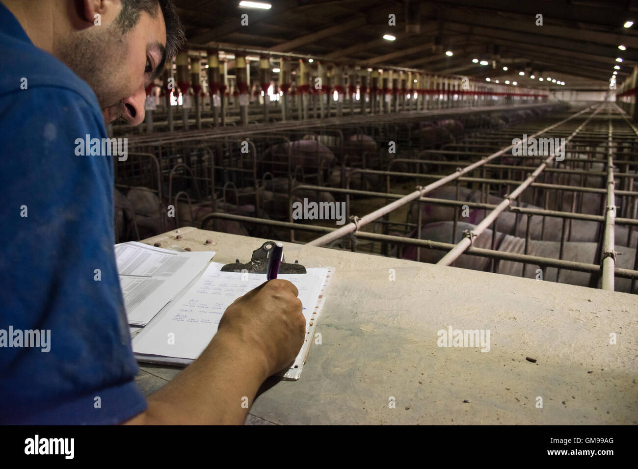 Black farmer writing hi-res stock photography and images - Alamy