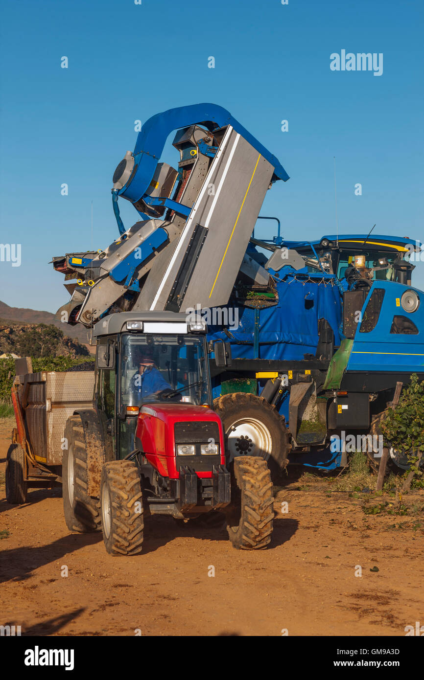 Grape harvesting machine and tractor in vineyard Stock Photo - Alamy