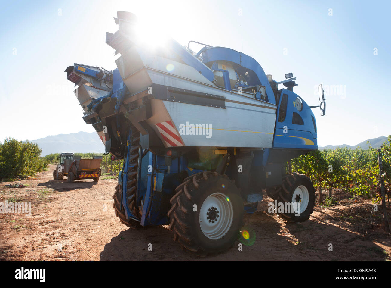 Grape harvesting machine in vineyard Stock Photo - Alamy