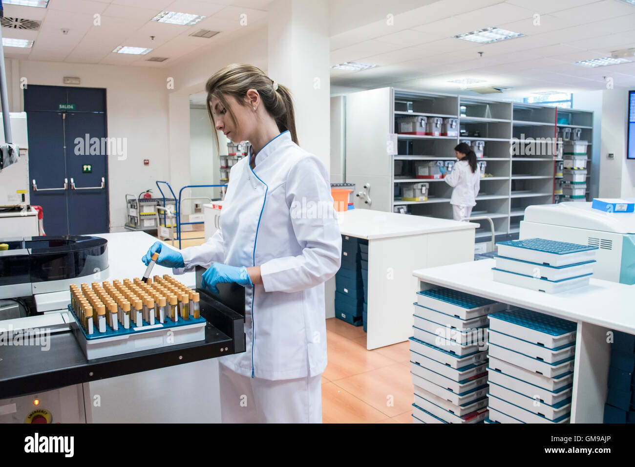 Laboratory technician in analytical laboratory with test tube tray ...
