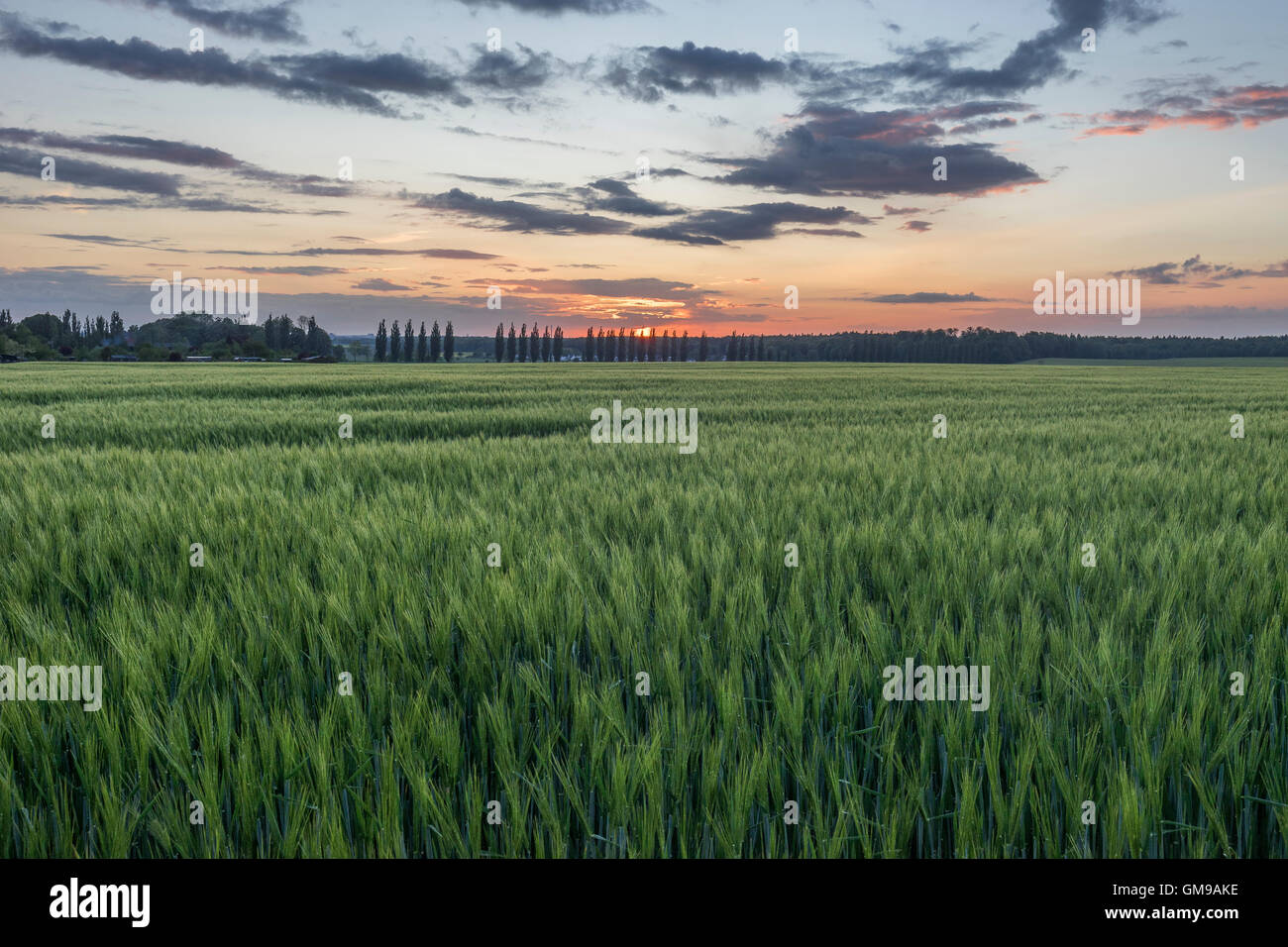 Wolfenbuettel germany hi-res stock photography and images - Alamy