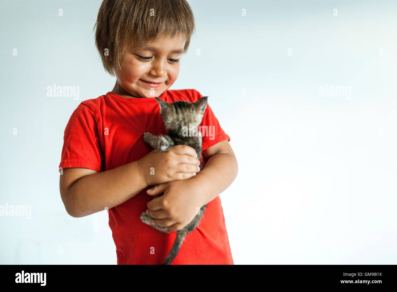 Portrait of smiling little boy holding kitten Stock Photo - Alamy