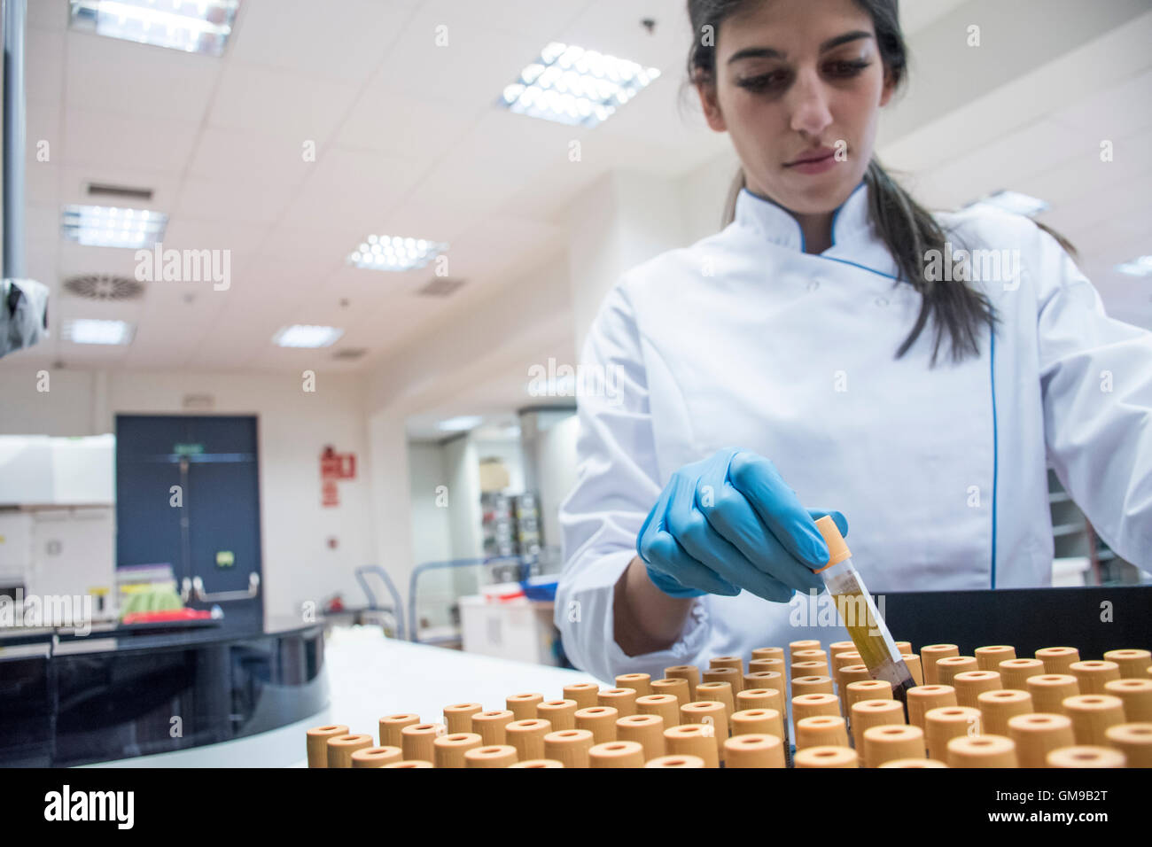 Laboratory technician in analytical laboratory with test tube tray ...