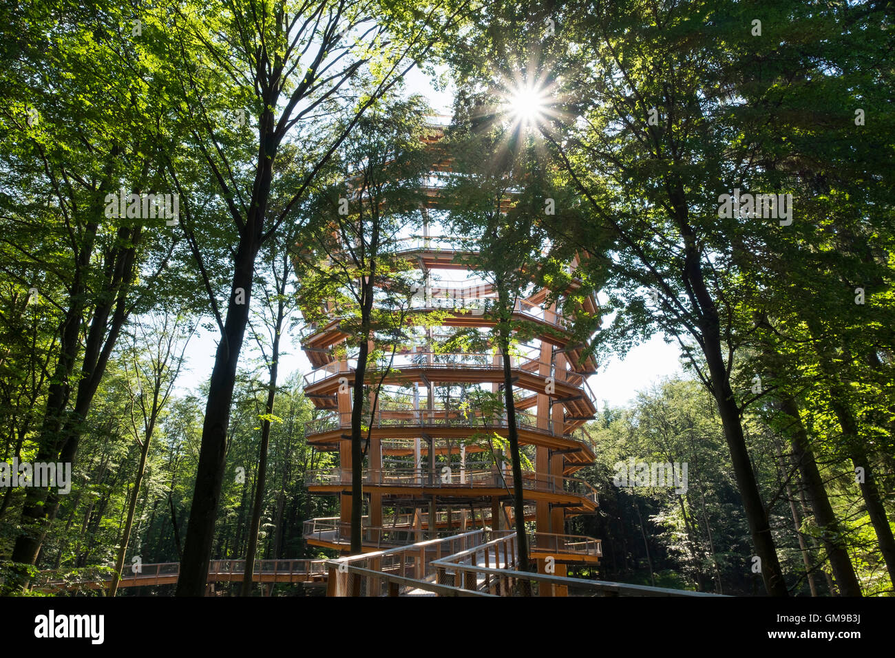 Germany, Upper Franconia, Ebrach, Viewing tower, canopy walk Stock ...