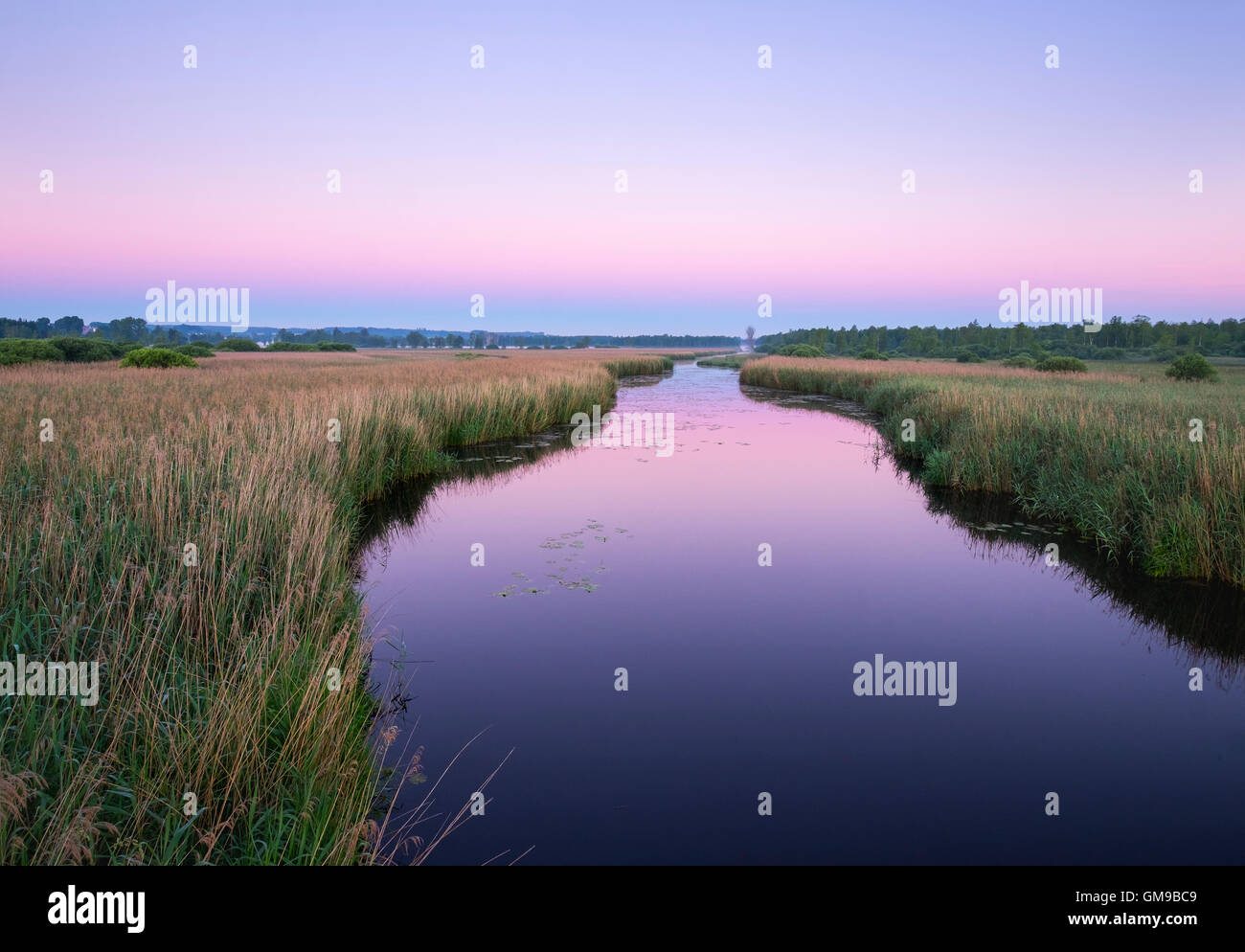 Germany, Baden-Wuerttemberg, Swabia, Upper Swabia, Bad Buchau, Lake ...