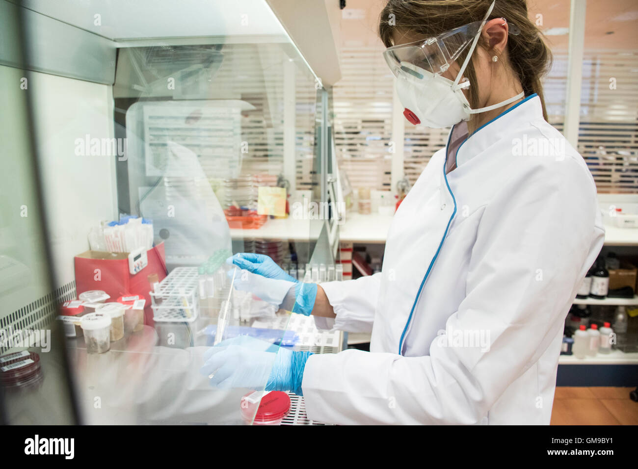 Cell culturing hi-res stock photography and images - Alamy