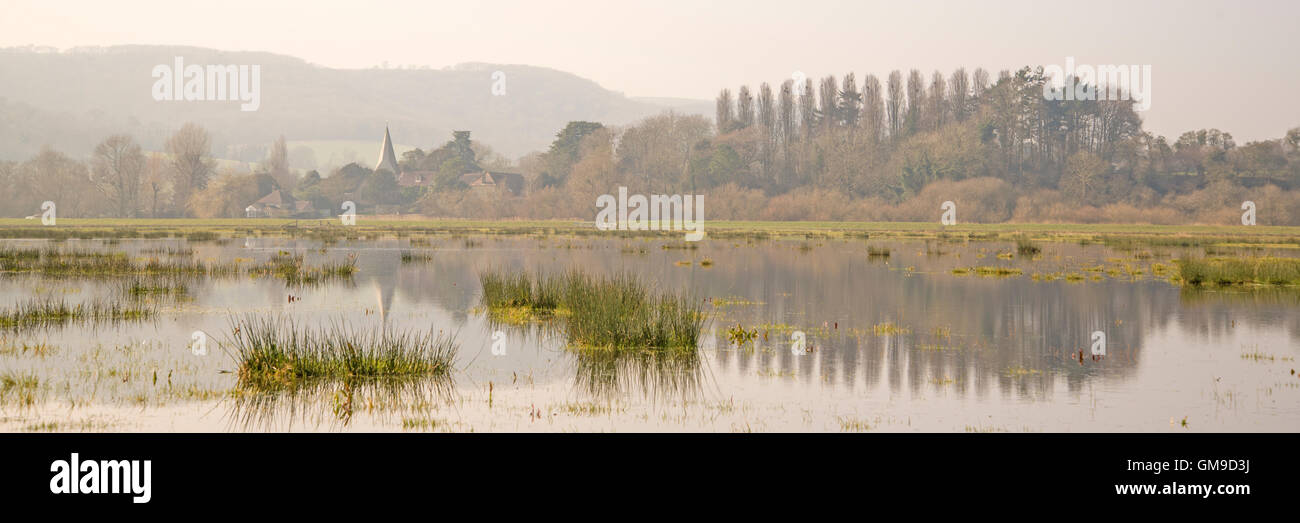 Muted color/colours on a misty spring morning Stock Photo - Alamy