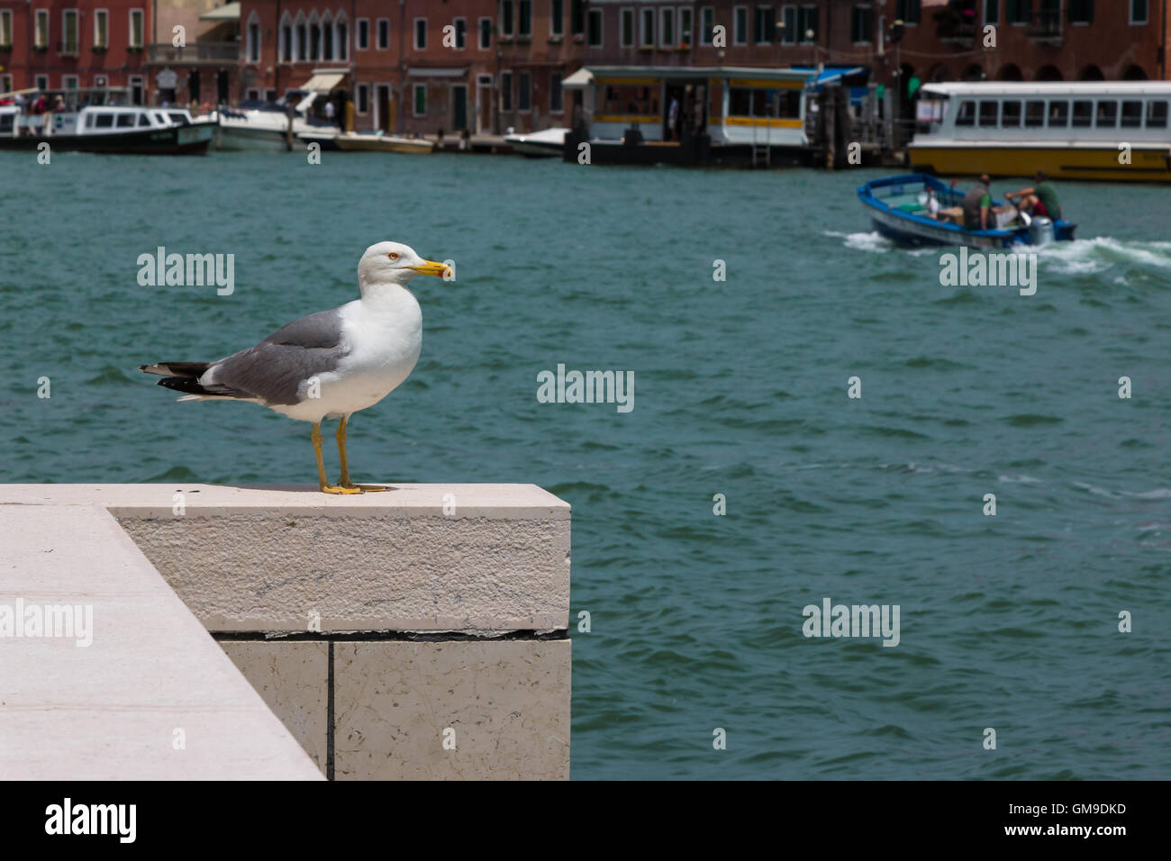White Parapet High Resolution Stock Photography and Images - Alamy