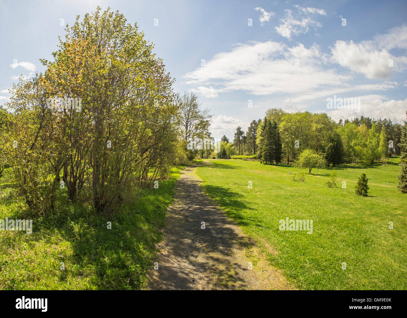 beautiful forest in a botanical garden. North of Russia Stock Photo - Alamy