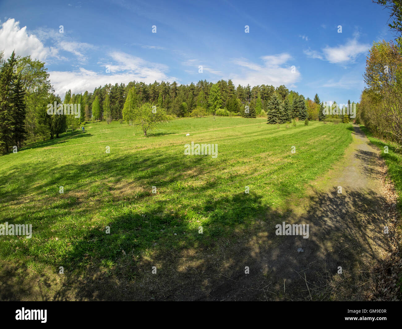beautiful forest in a botanical garden. North of Russia Stock Photo - Alamy