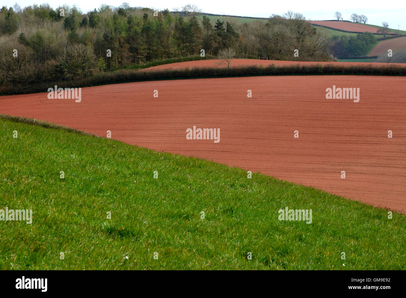 Berry pomeroy devon hi-res stock photography and images - Alamy