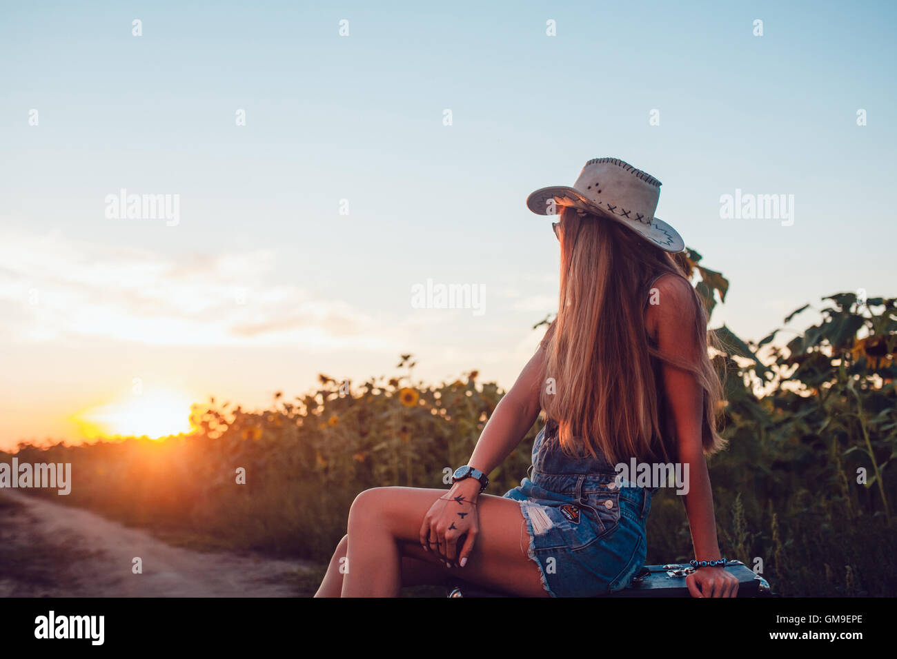 Girl in cowboy hat sitting on a suitcase in sunflower field. Sunset ...