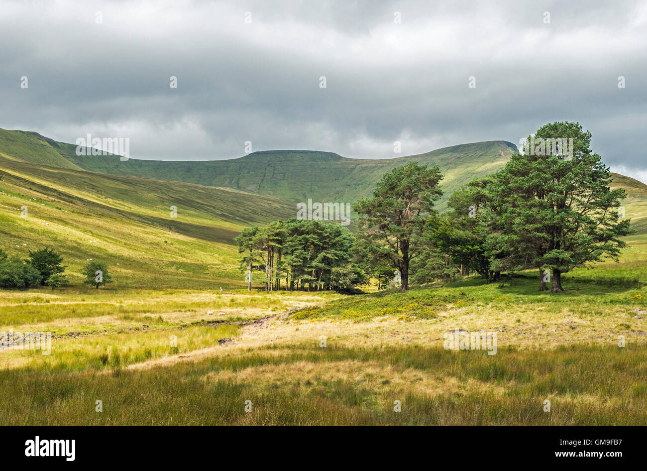 Pen y Fan and Corn Du in the Central Brecon Beacons on a summer day ...
