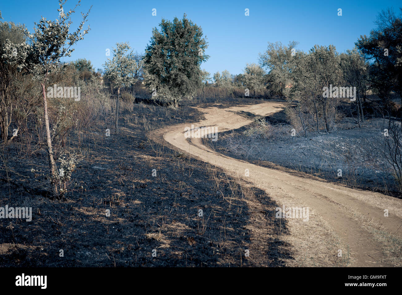 Path of fire hi-res stock photography and images - Alamy