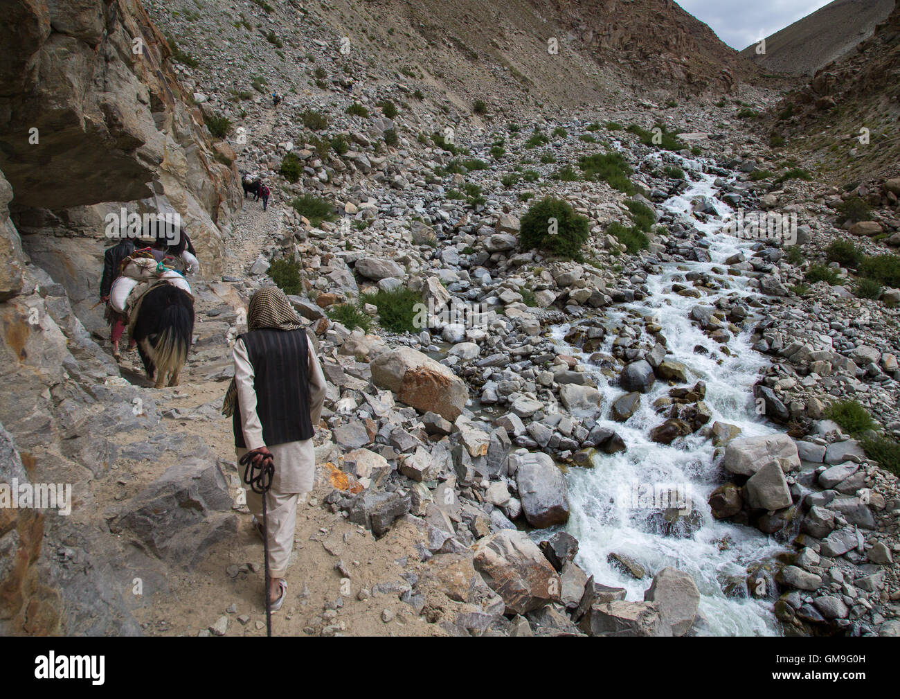 Three yaks hi-res stock photography and images - Alamy