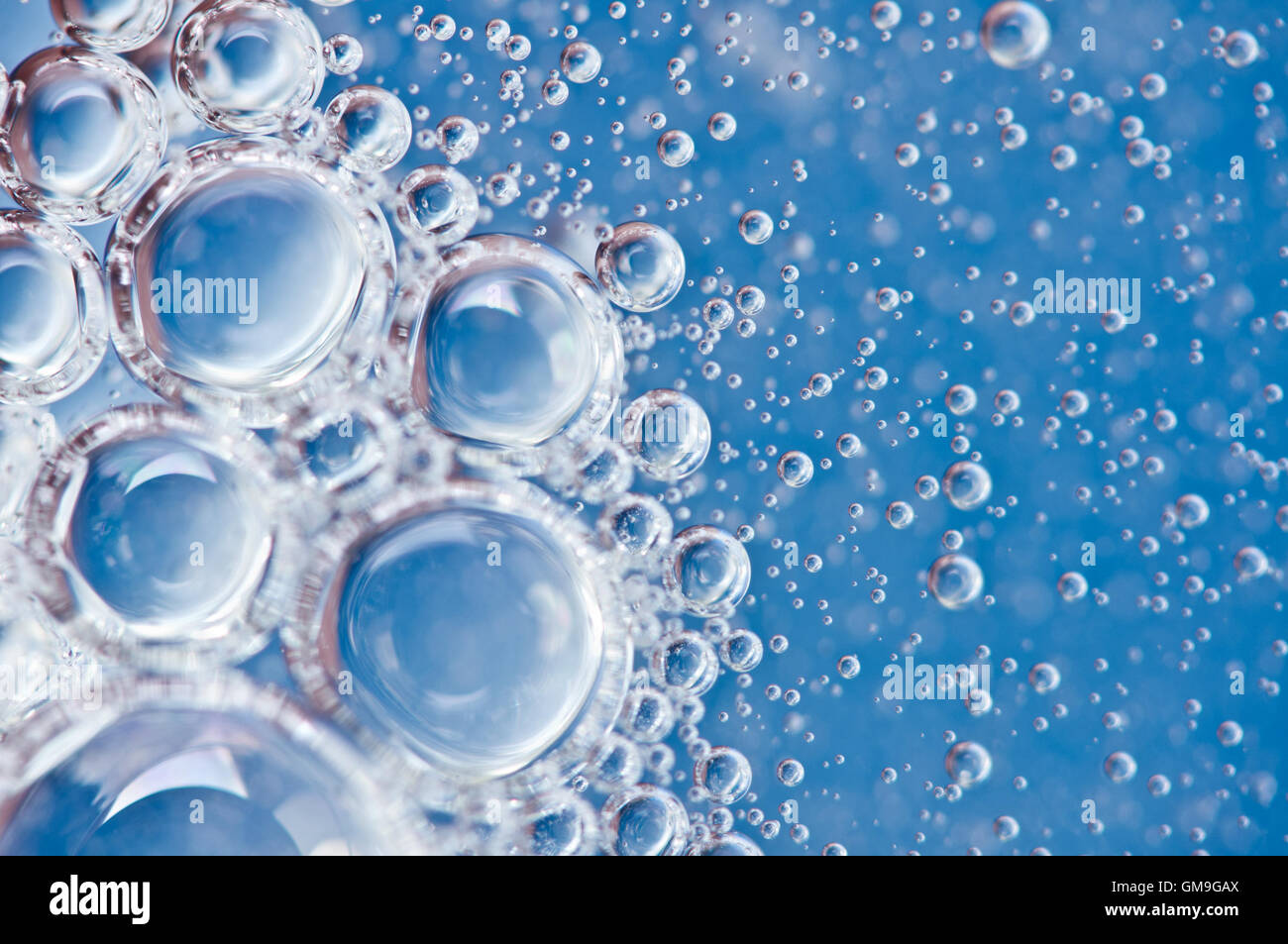 Close-up bubbles, motion under water on blue background. Macro. Concept ...