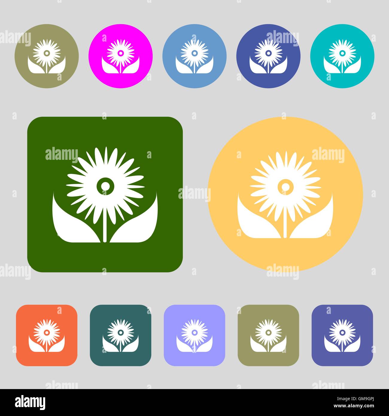 Bouquet of flowers with petals icon sign. 12 colored buttons. Flat ...